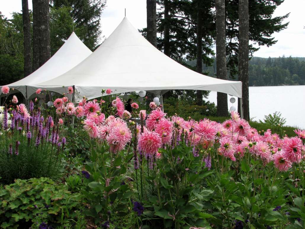 Event Rental: Rent Tents, Tables, and Chairs for Your Next Event